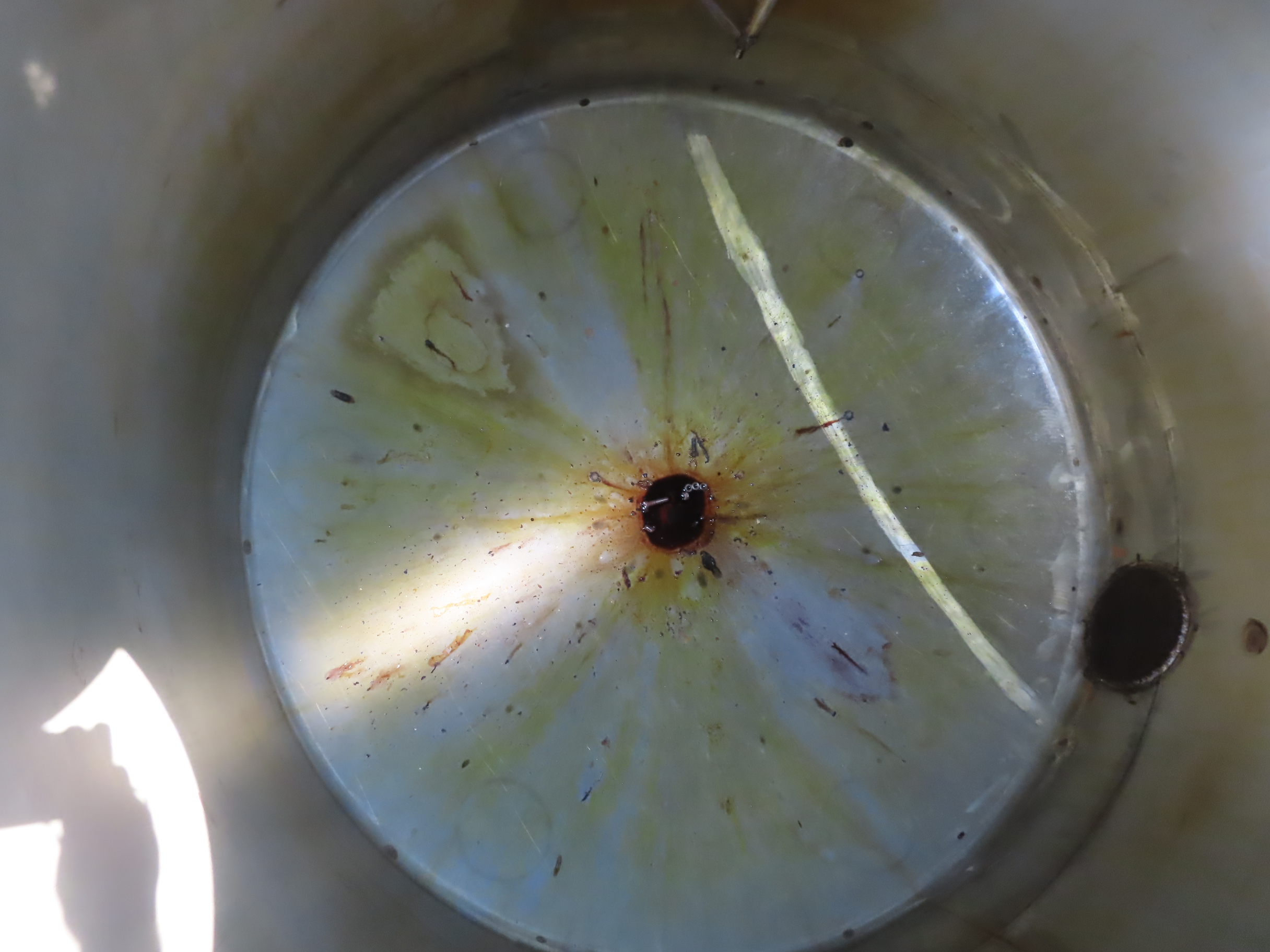 1,500 gallon Stainless Steel Closed top Tank, dish bottom on legs